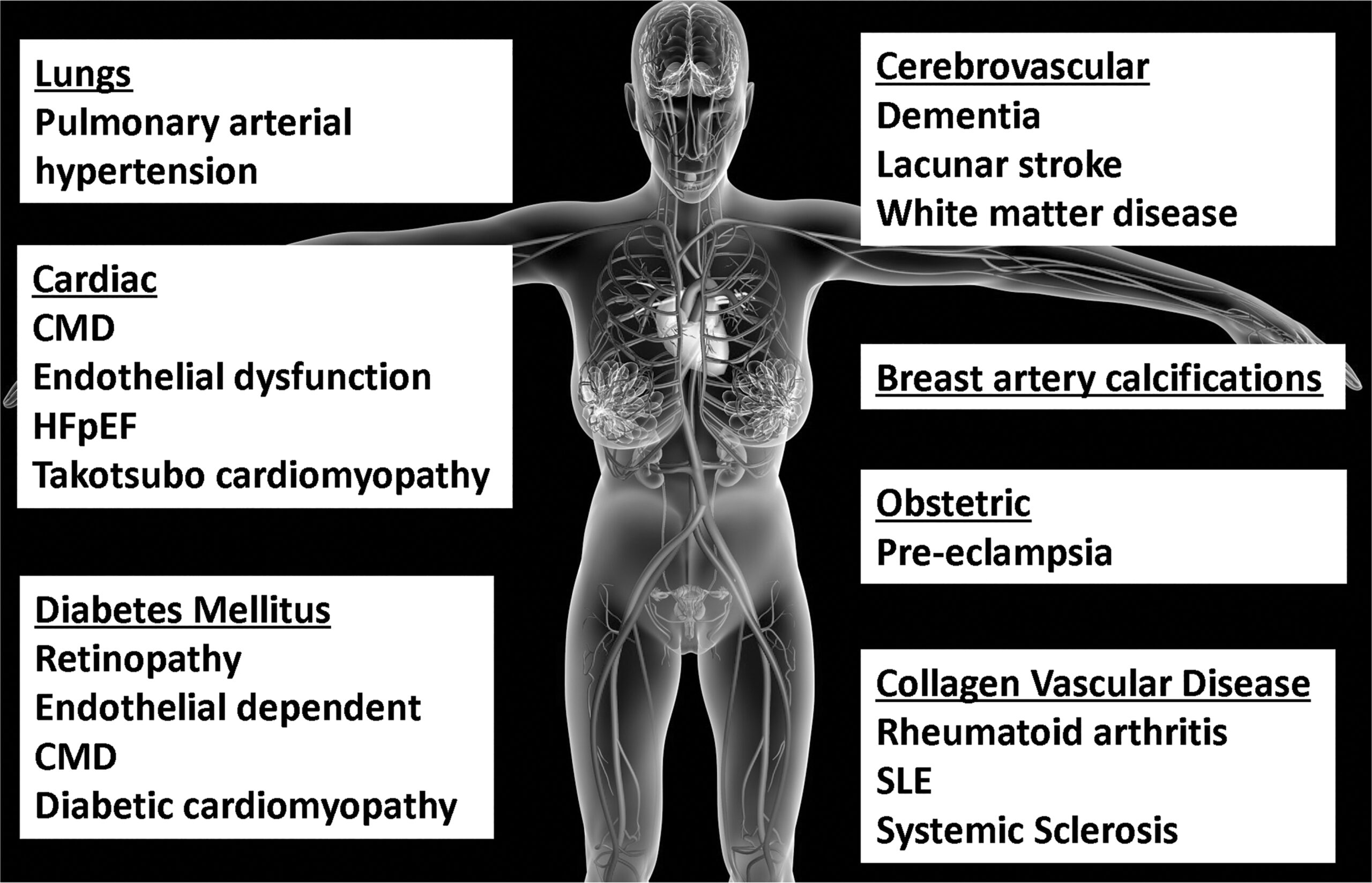 Microvascular Disease: Understanding the Silent Threat and How ACEND ...