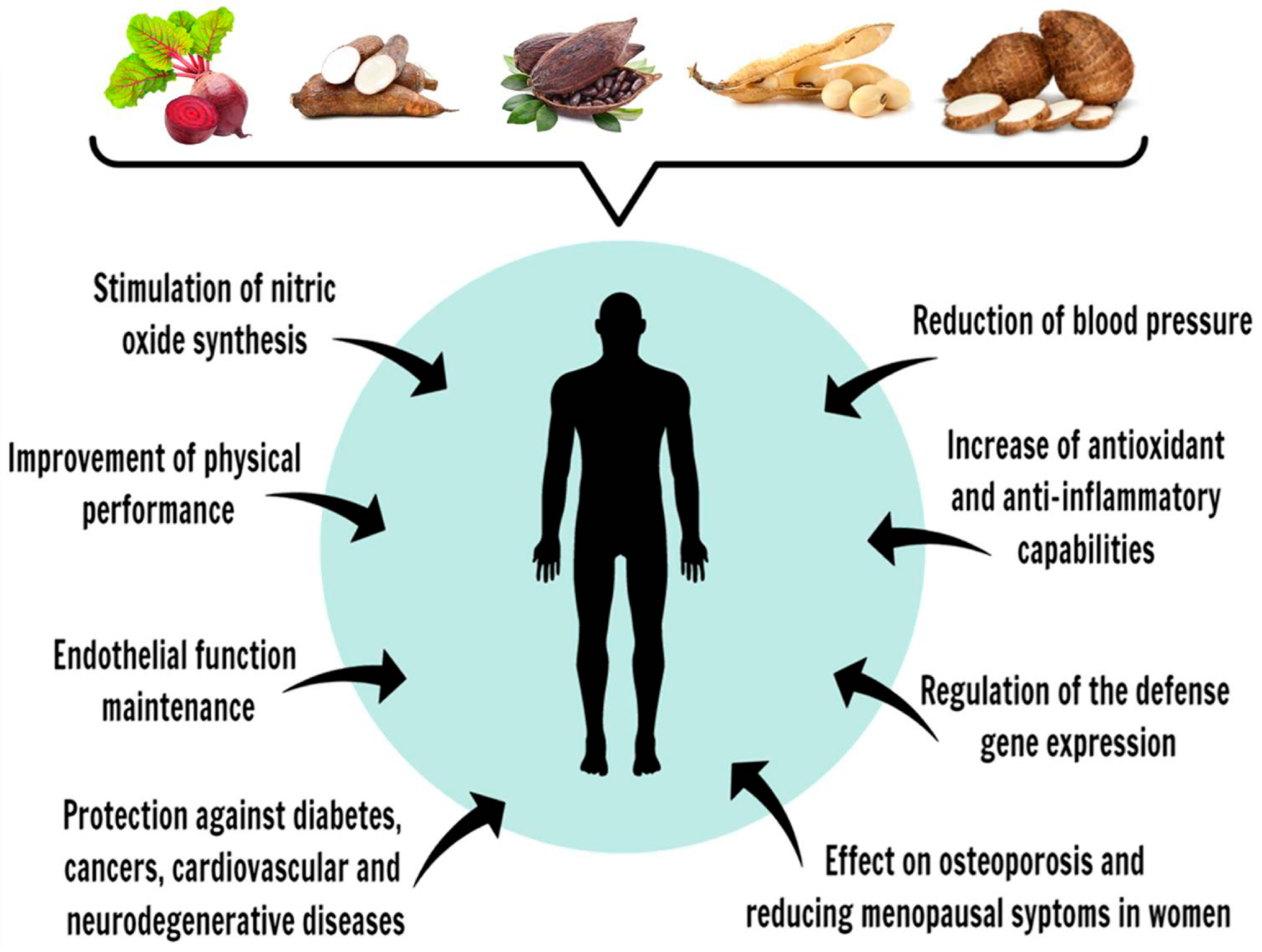 The Declining Nutrient Density in Modern Foods: Implications for Health ...